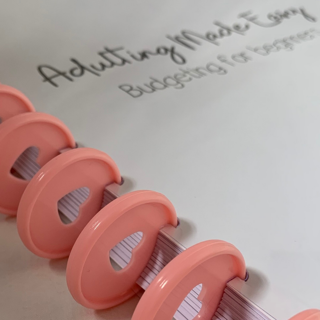 Discbound Planners – Interactive Pictorial Learning Activities